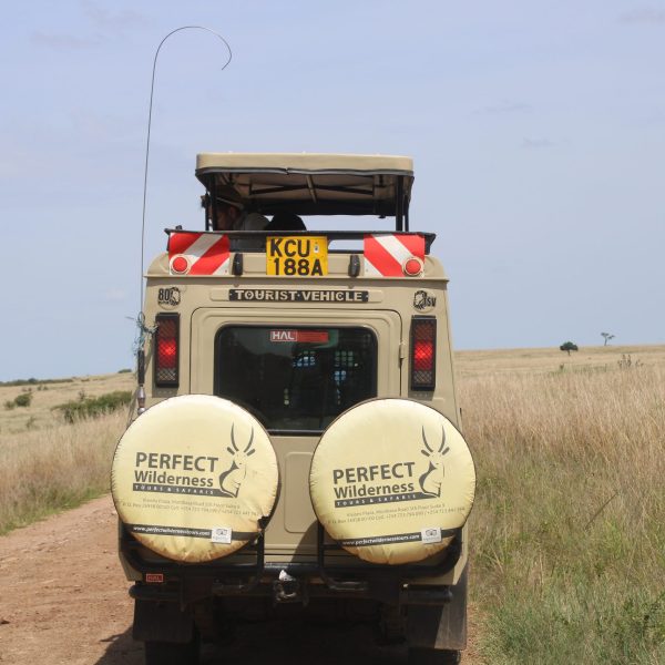 3 DAYS, 2 NIGHTS MAASAI MARA GROUP JOINING BUDGET SAFARI IN A 4X4 ...